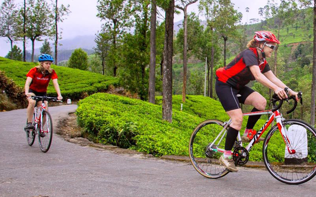 Excepteur sint occaecat - The Blackberry Cottage, Nuwara Eliya ...